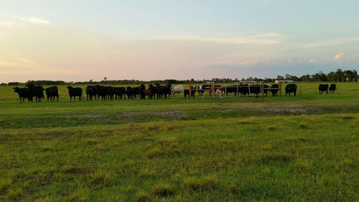 About our Farm FAQs – Circle C Farm