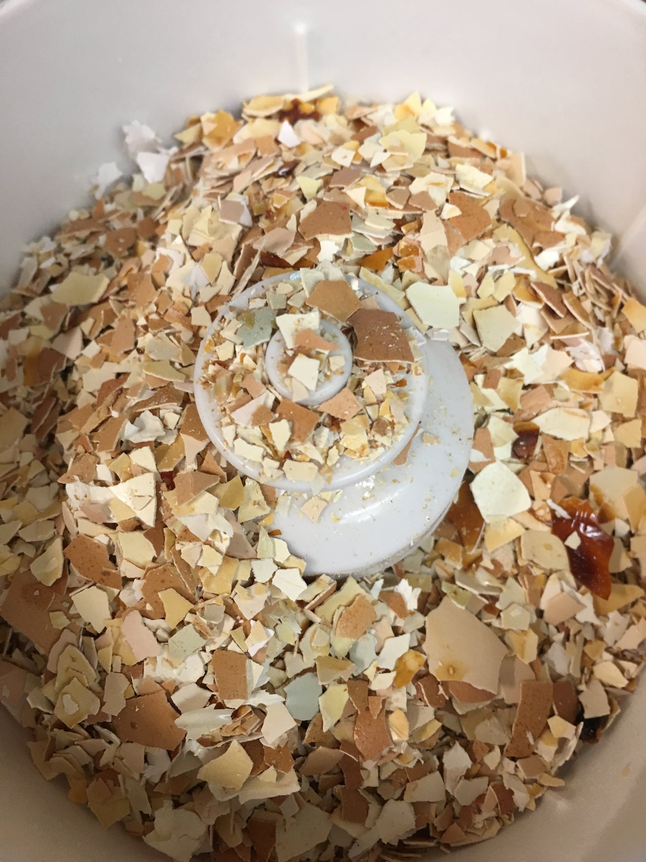 5 Ways To Use Egg Shells | Circle C Farm