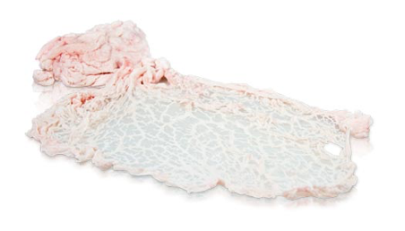 Grass Fed & Finished Lamb | Circle C Farm